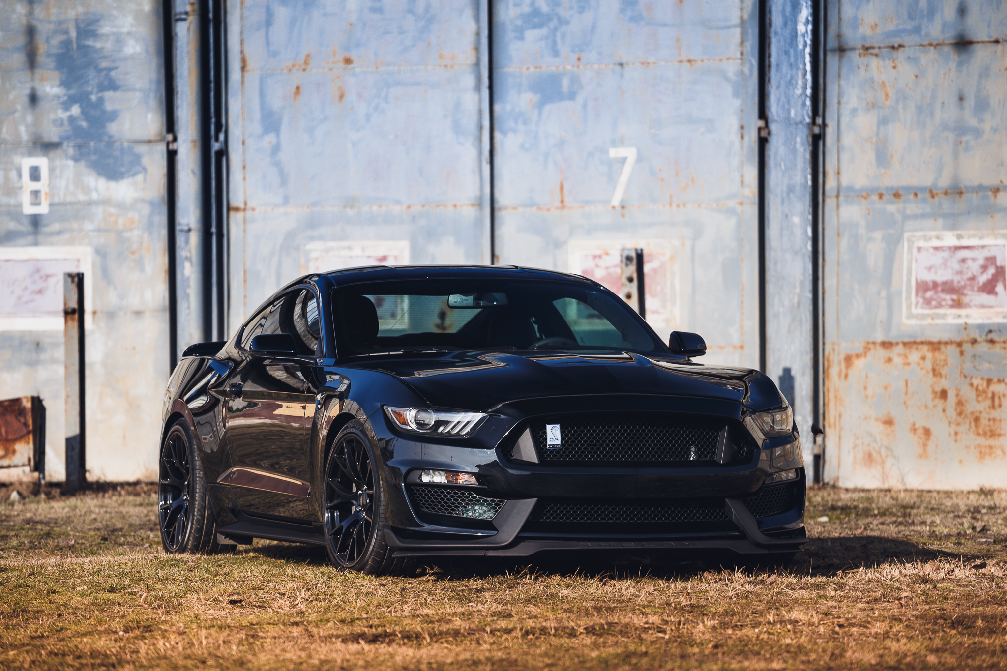 2016 Ford Mustang GT SHELBY GT350 COBRA CUSTOM 5.0l V8 RWD 421KM Skóra ...